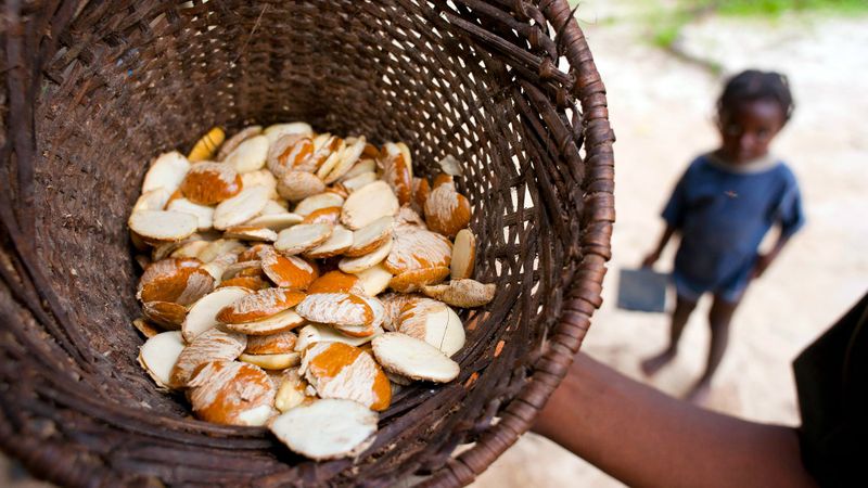 Why our food needs to use less water - BBC Reel