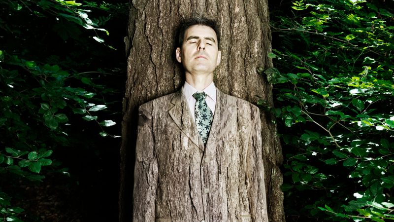 The 'dummy trees' used as WW1 observation posts - BBC Reel