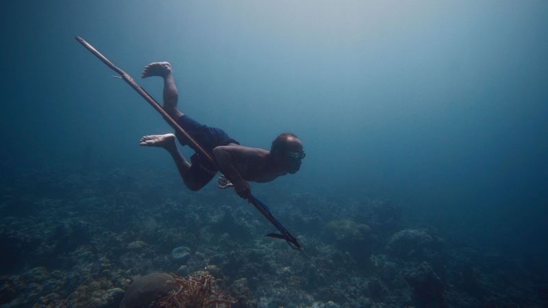 Deeper Dives - BBC Reel