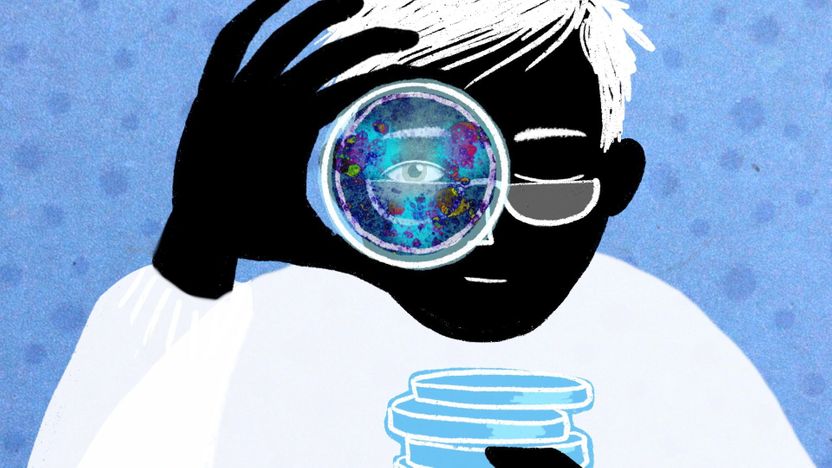 How chimpanzees reveal the roots of human behaviour - BBC Reel