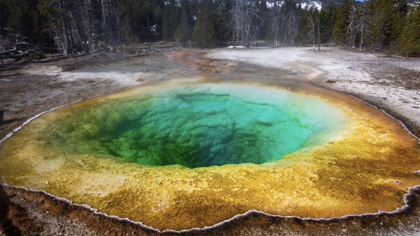 Nature vs Nurture: How your genes shape who you are - BBC Reel