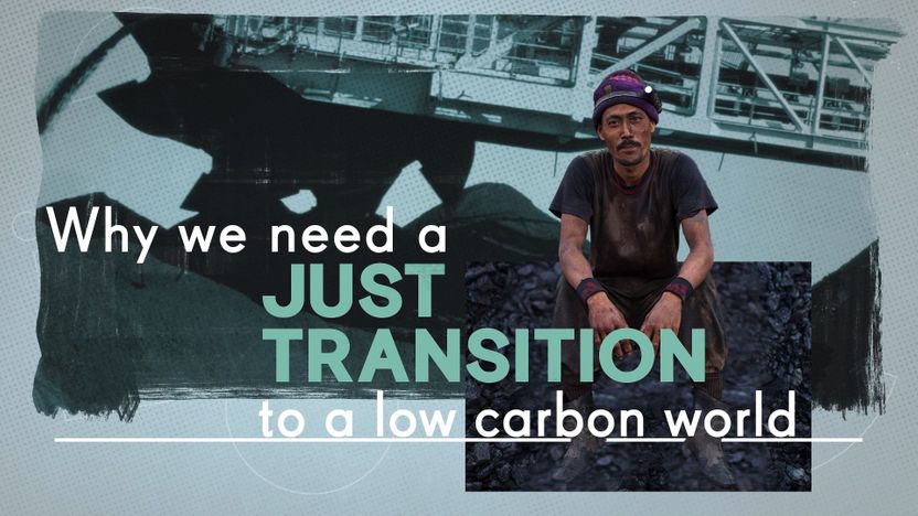 How SUVs came to rule the world at the cost of the climate - BBC Reel