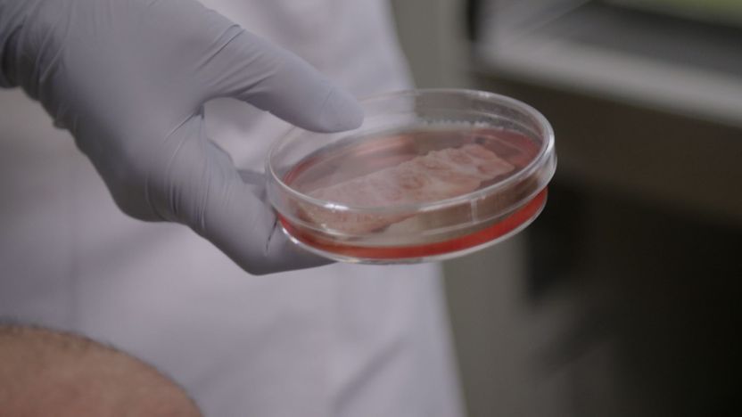 Japan: Creating the first wagyu beef in a lab - BBC Reel