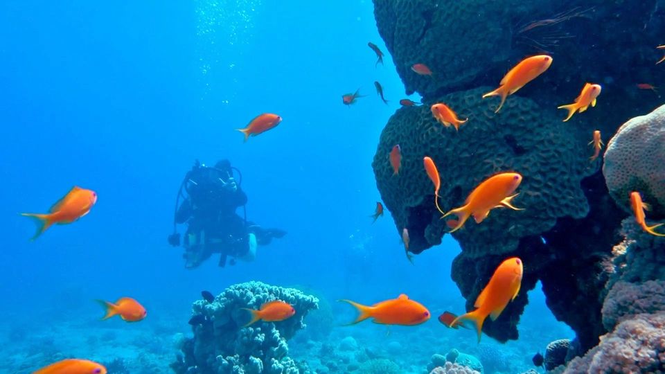 Inside the world's largest crystal 'cave' - BBC Reel