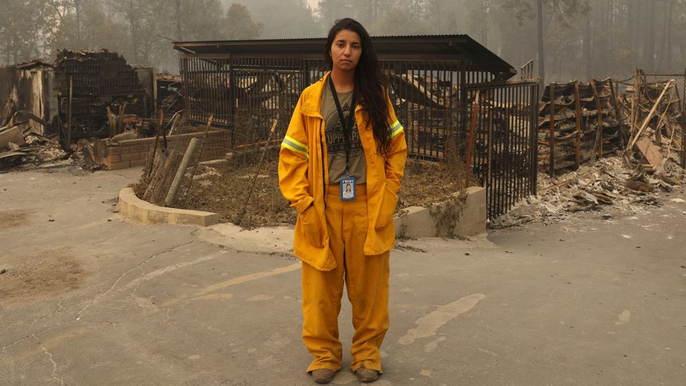 Inside the Frozen Zoo bringing animals back from extinction - BBC Reel