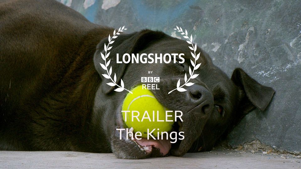 The Viewing Booth - Trailer - BBC Reel