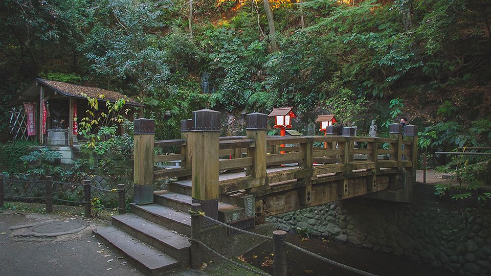 Tokyo's hidden nature spots - Article