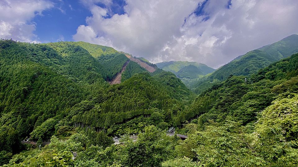 Tokyo's hidden nature spots - Article