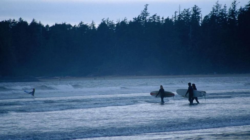 The world’s iciest surf spots - BBC Travel