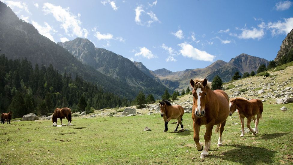 The maverick of northeastern Spain - BBC Travel