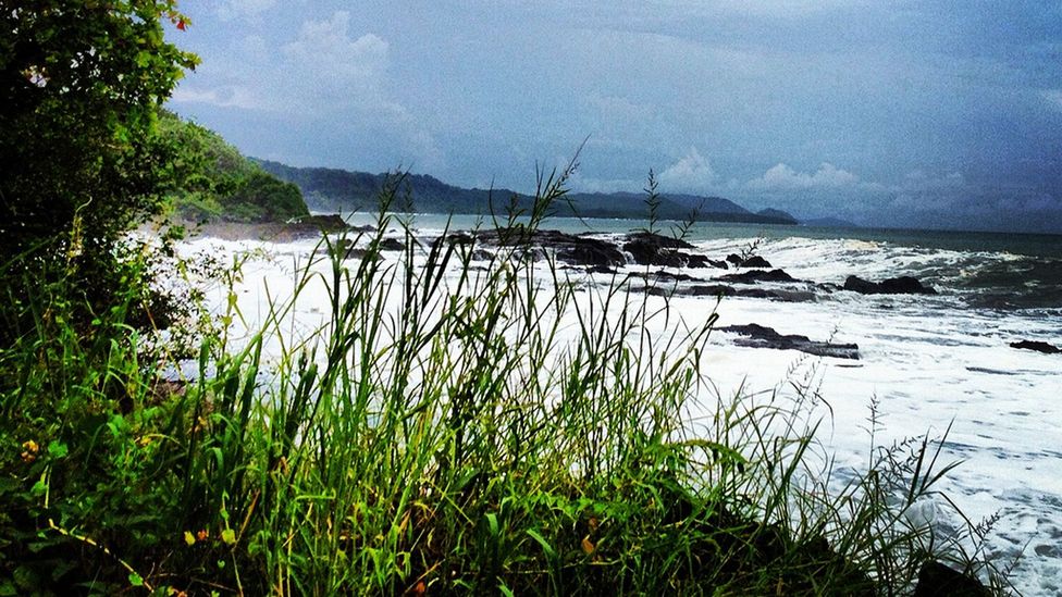 The wild beauty of Costa Rica’s Nicoya Peninsula - BBC Travel