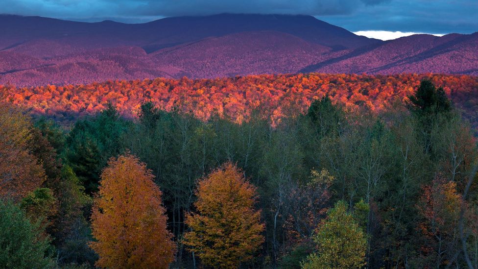 In New York, the Adirondacks endure - BBC Travel