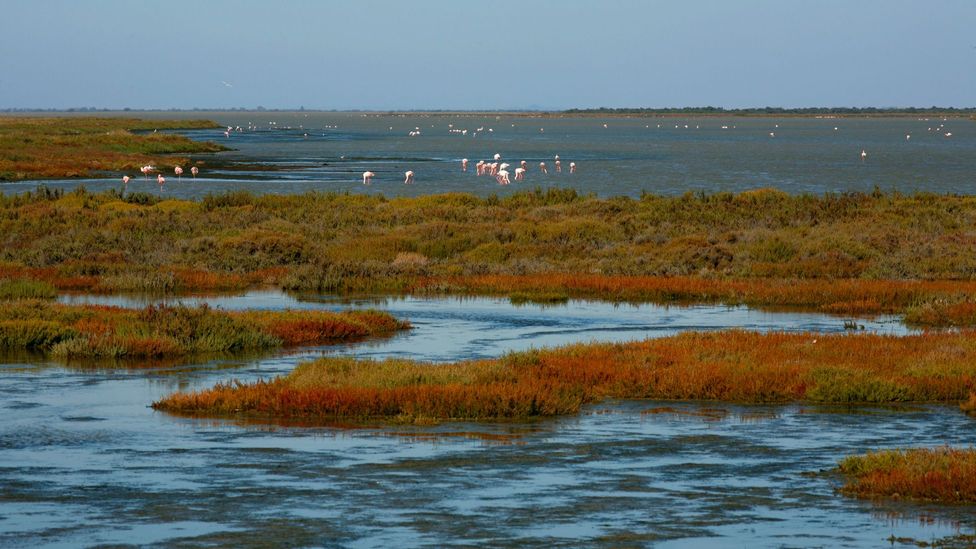 Ten of France’s natural wonders - BBC Travel