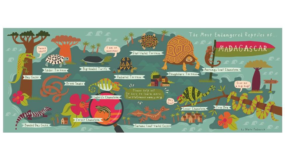 Mapping the world: Madagascar - BBC Travel