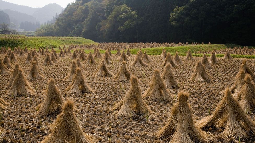 In the footsteps of Japan’s haiku master - BBC Travel