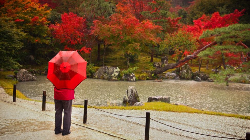Autumn colours around the world - BBC Travel