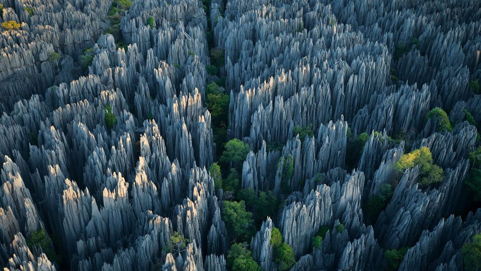 Madagascar's labyrinth of stone - BBC Travel