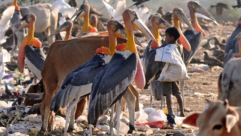 Best science and technology pictures of the week - BBC Future