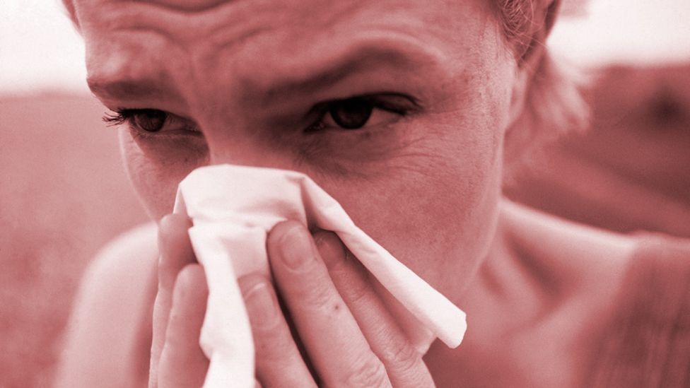 Do flu vaccines give you flu? - BBC Future