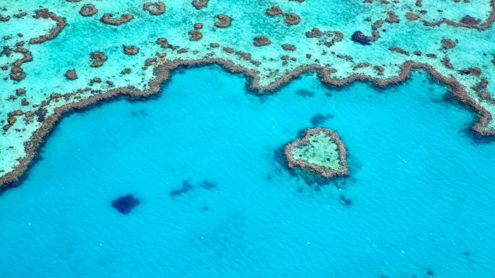 The must-sees of Queensland - BBC Travel