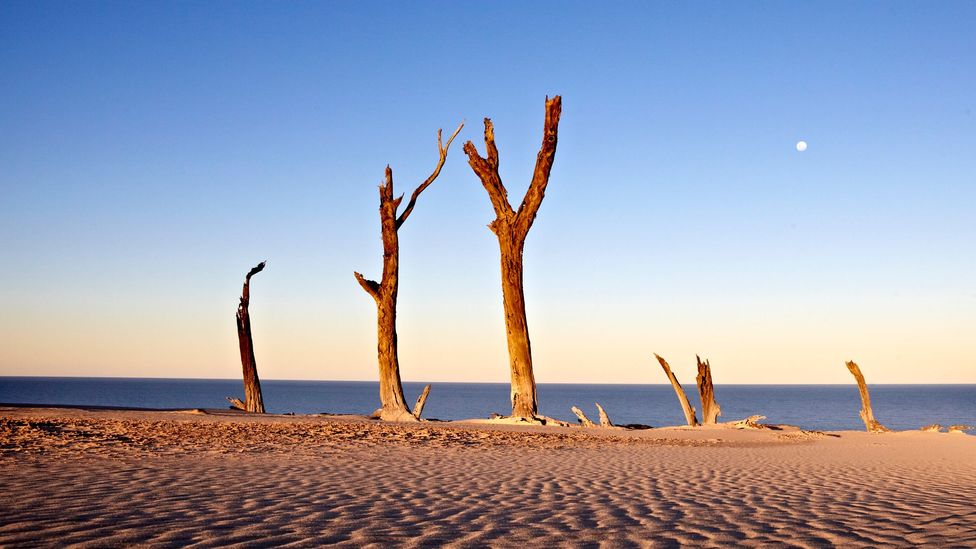 The must-sees of Queensland - BBC Travel