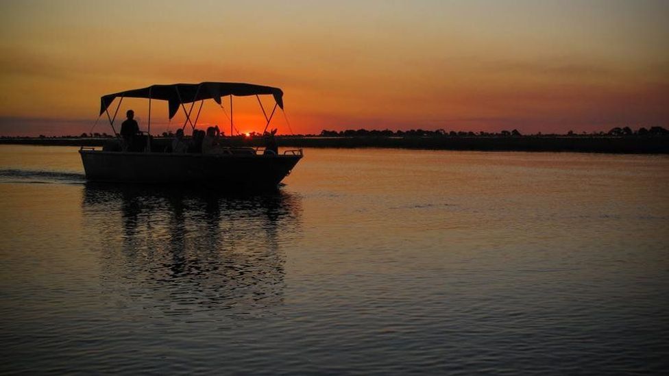 Wildlife by river boat - BBC Travel