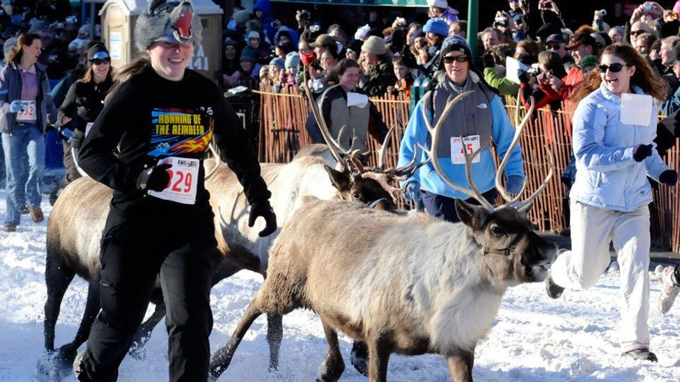 Spring begins with reindeer games - BBC Travel