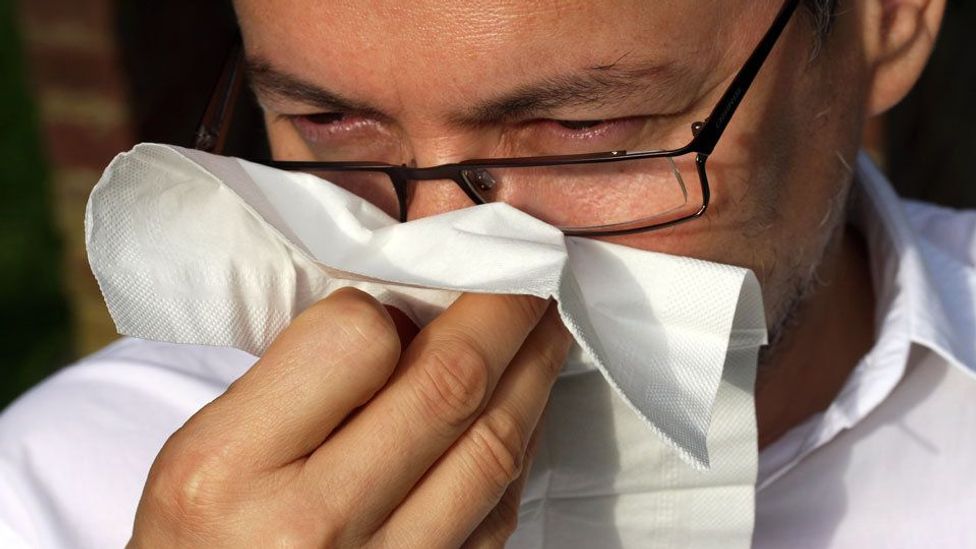 The flu is a frequent traveller - BBC Travel