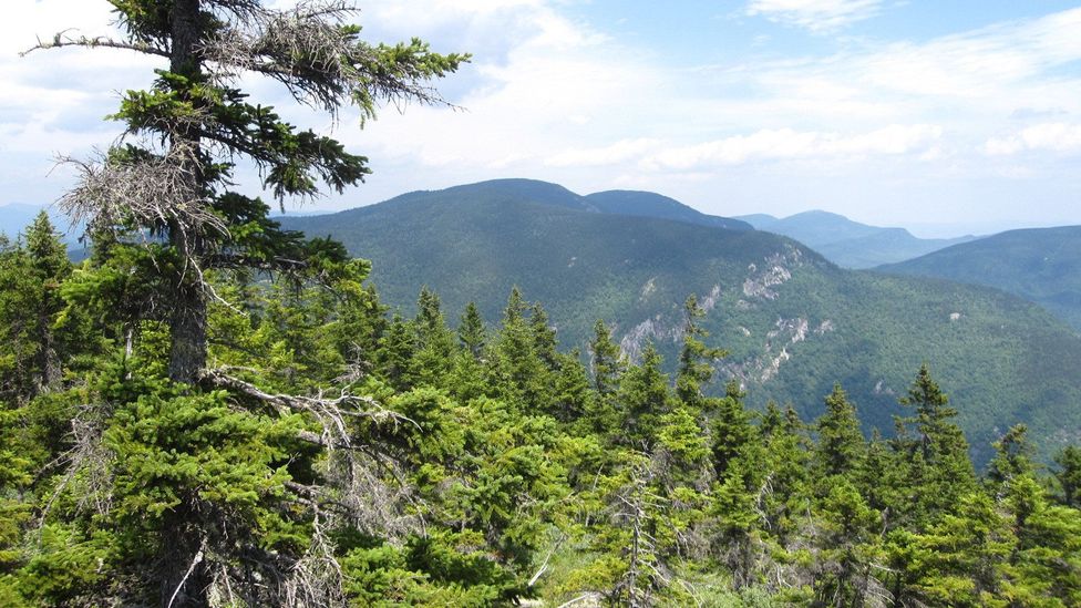 Rewards and risks in hiking New Hampshire’s White Mountains - BBC Travel