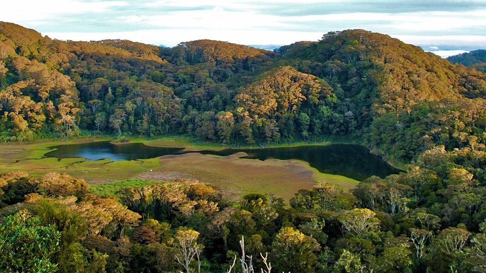 Climbing to the top of the Philippines - BBC Travel