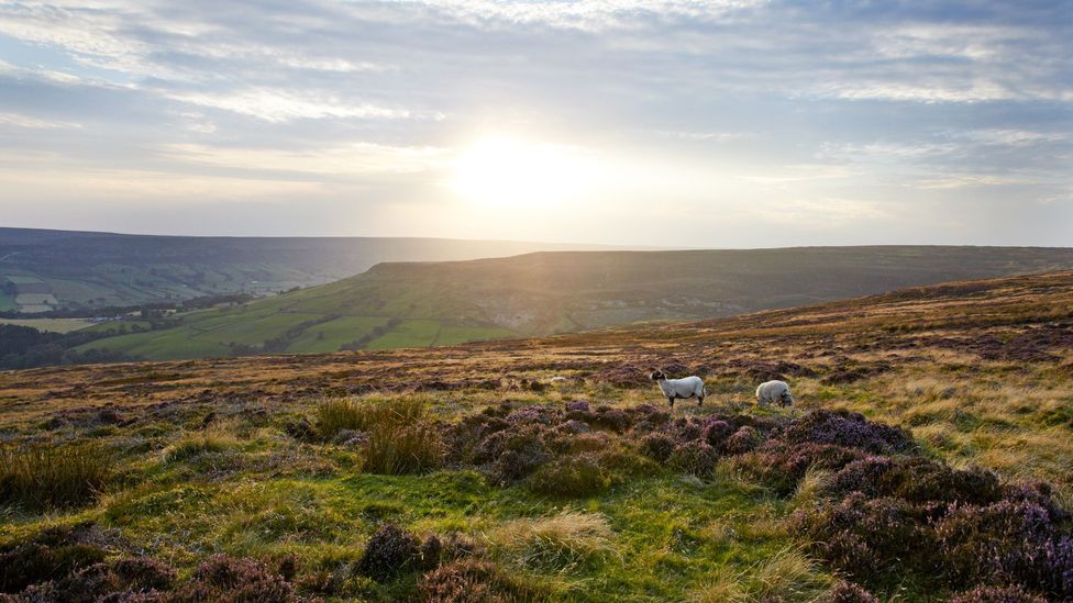 Great Britain - BBC Travel