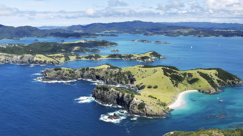 All at sea in New Zealand - BBC Travel