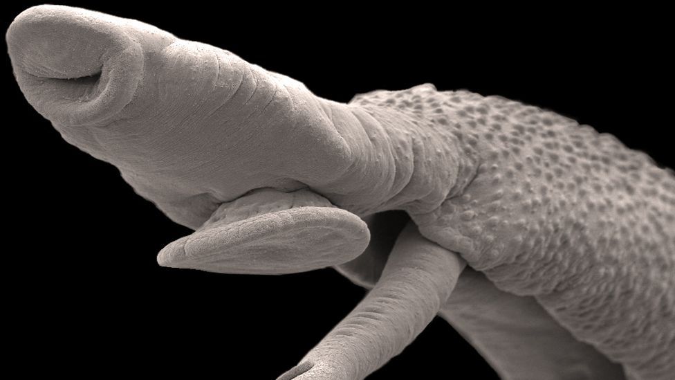 Best science and technology pictures of the week - BBC Future