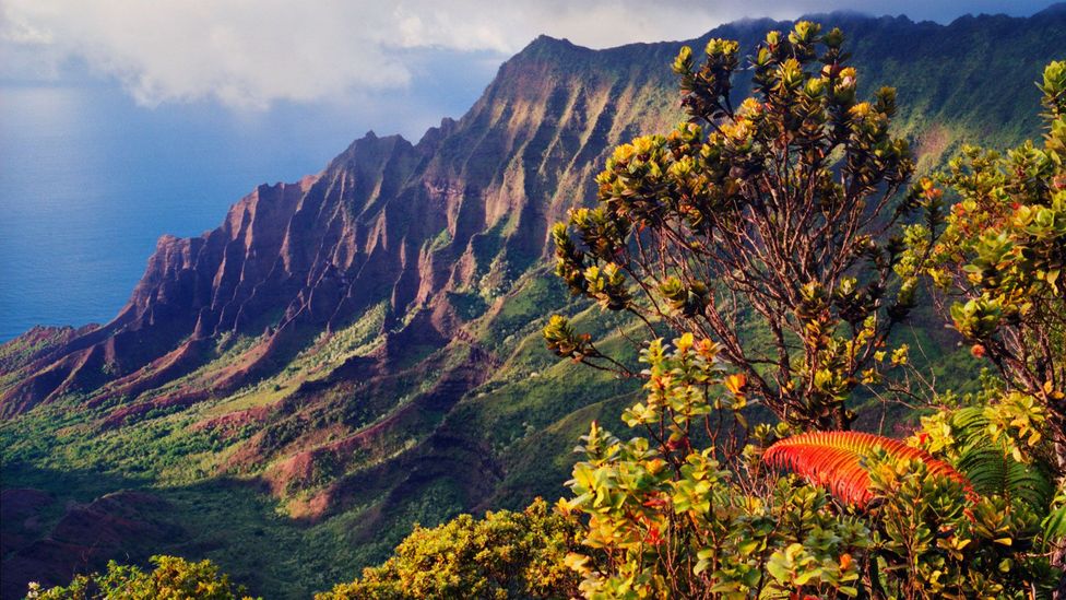 Untamed treasures of Kauai’s Na Pali Coast - BBC Travel