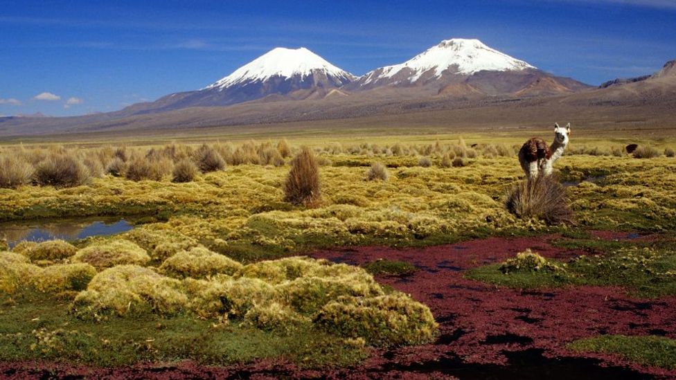 How to climb a South American volcano - BBC Travel