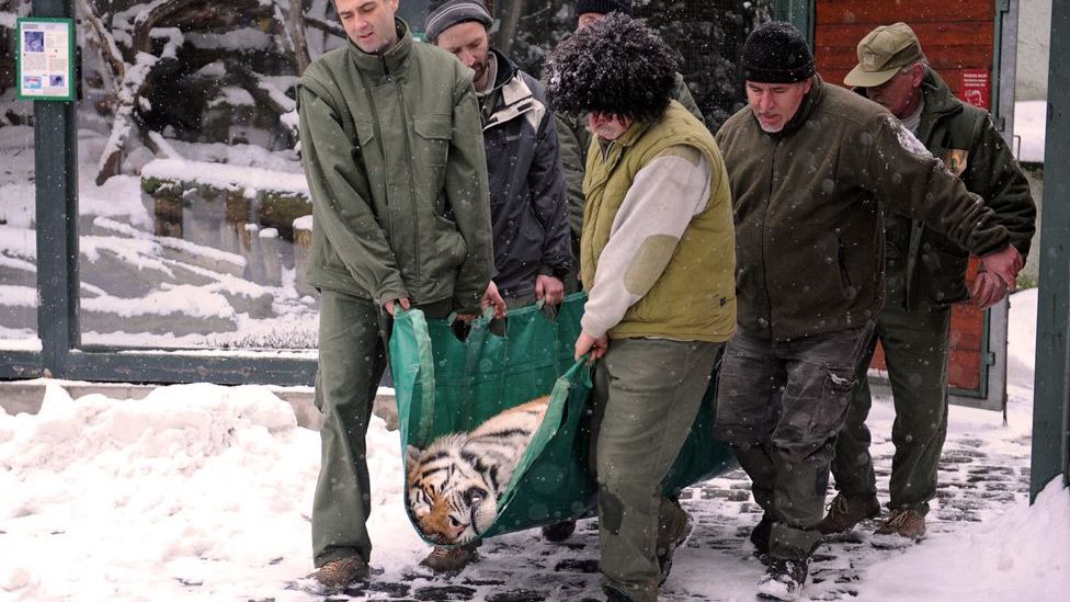 Best science and technology pictures of the week - BBC Future