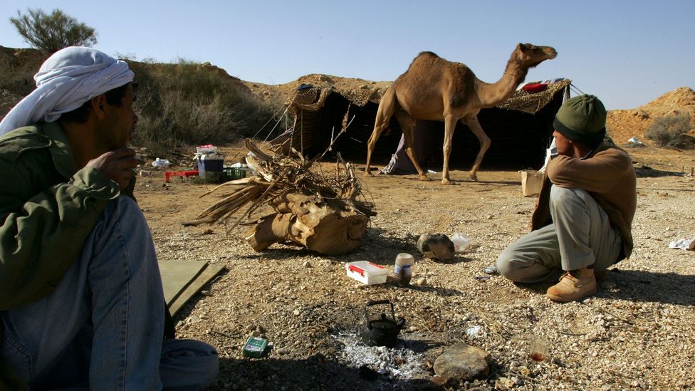 A boy's mission to save the camel - BBC Travel