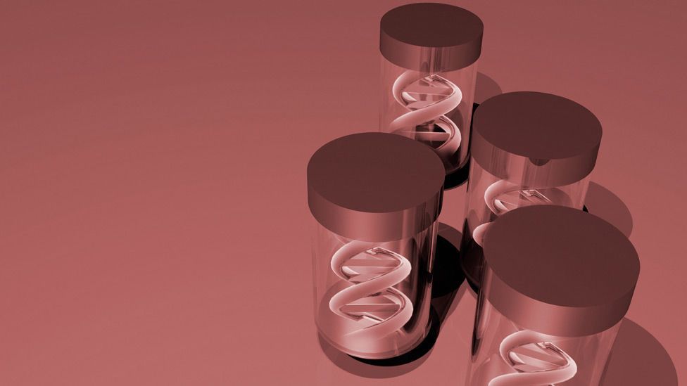 Tiny glass ‘bottles’ protect DNA from damage - BBC Future