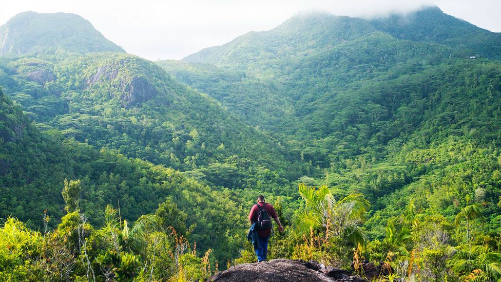 The perfect trip: The Seychelles - BBC Travel