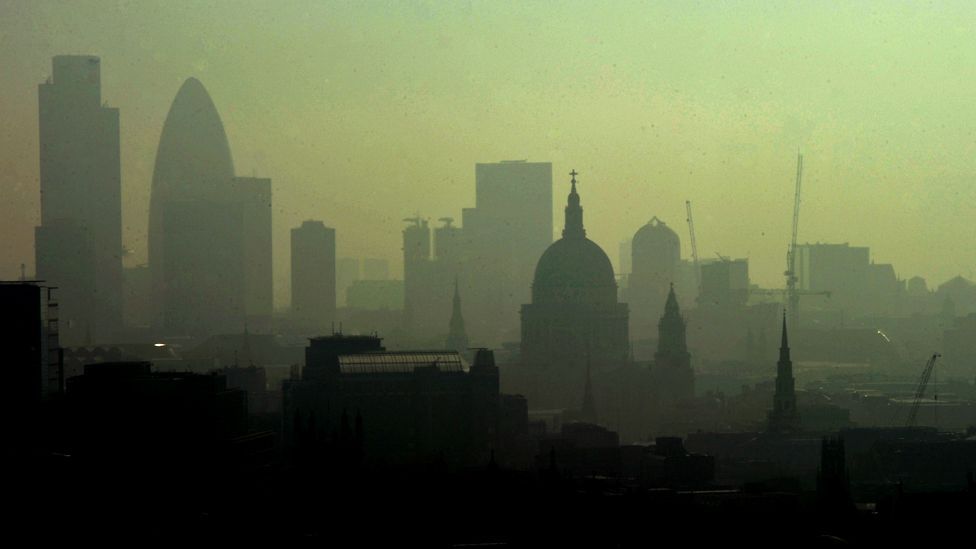 Living buildings for tomorrow’s cities - BBC Future