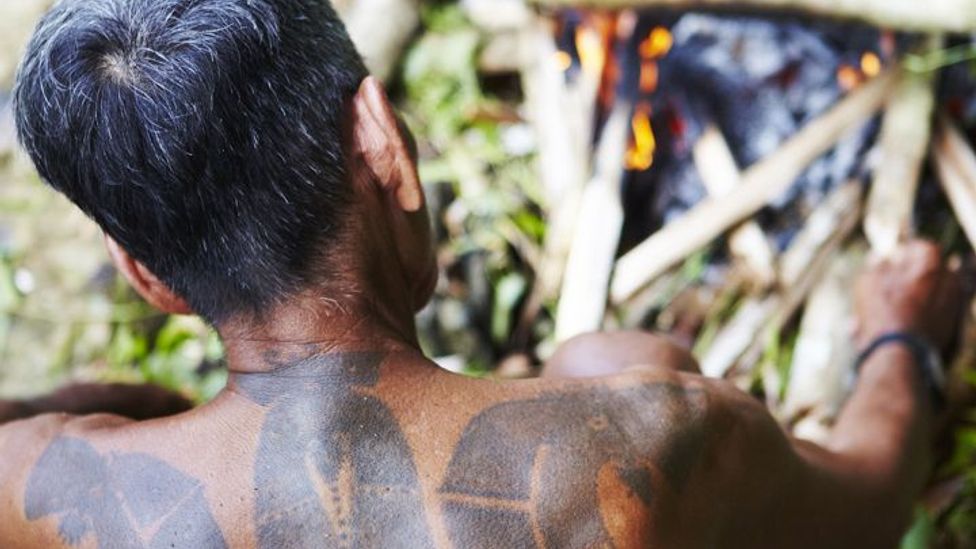 The perfect trip: Borneo - BBC Travel