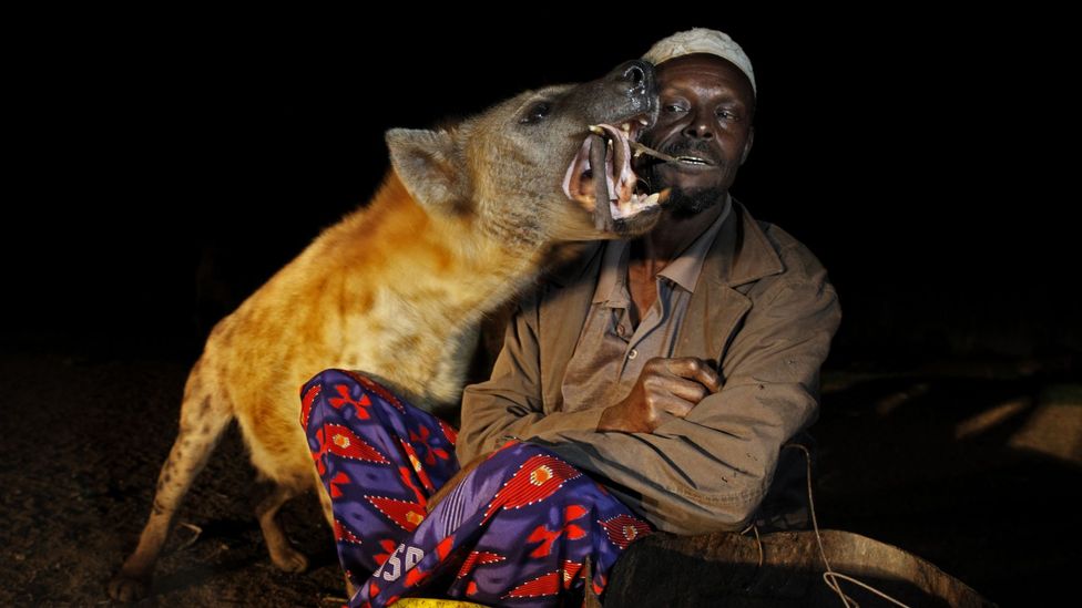 Pt 3: Taming wild hyenas outside Harar - BBC Travel