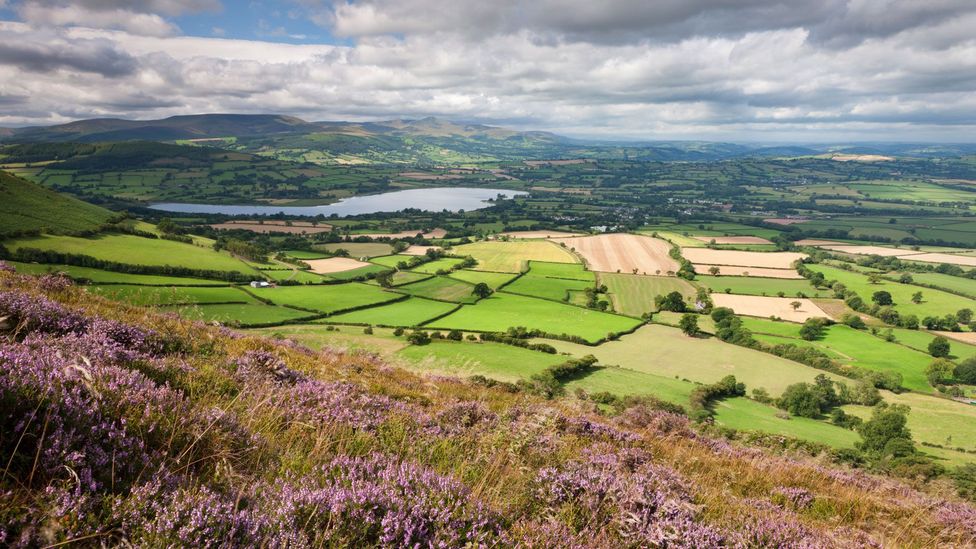 The sophisticated flavours of rural Wales - BBC Travel