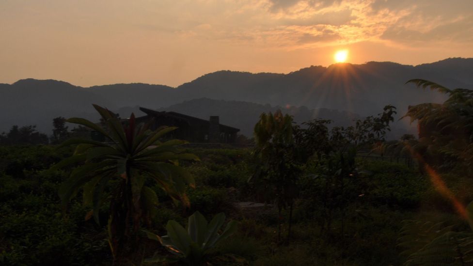 Rwanda’s rainforest renewal - BBC Travel
