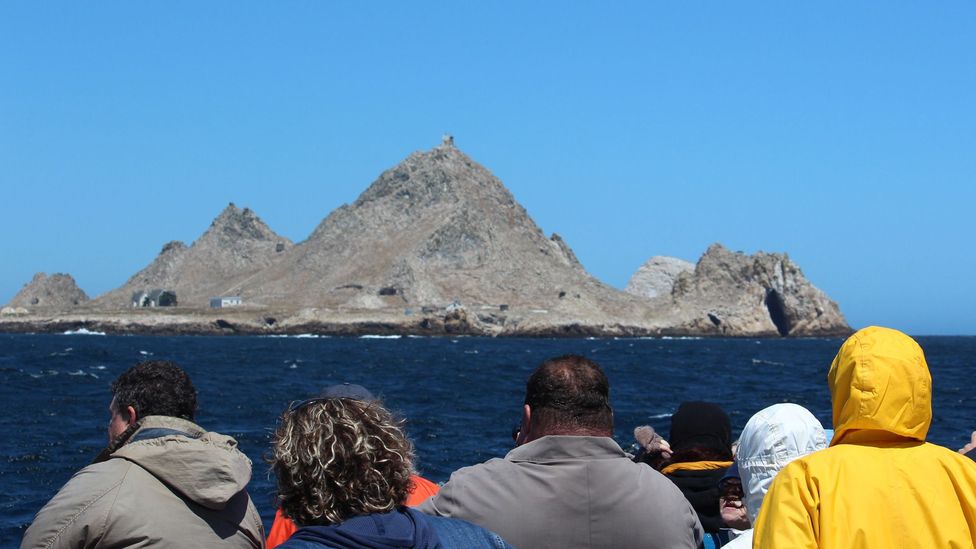 A wild world off California's coast - BBC Travel