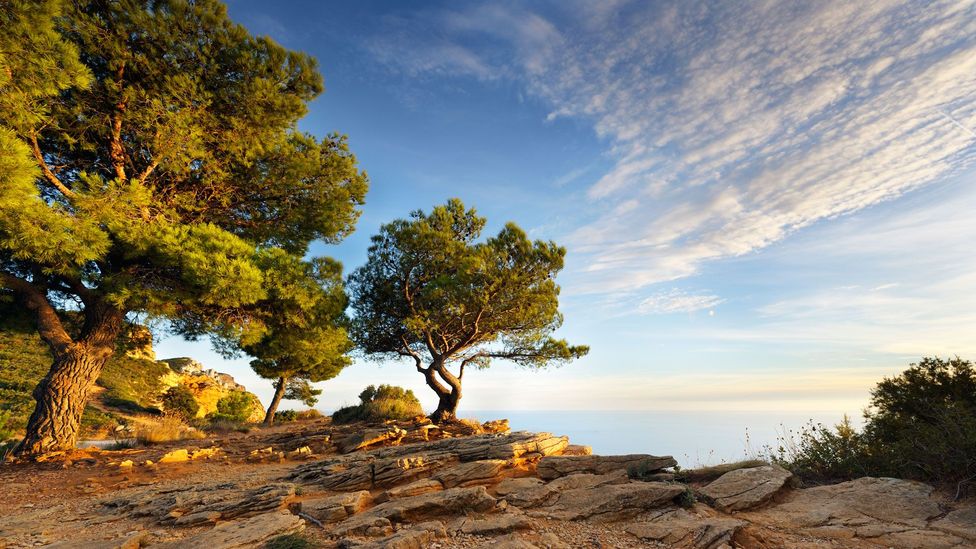 Mini guide to coastal Côte d’Azur - BBC Travel