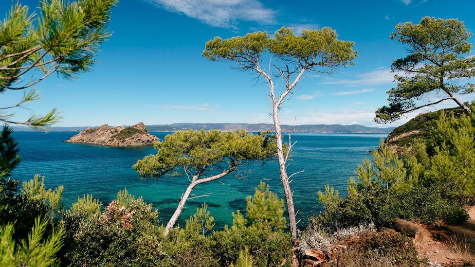 Mini guide to coastal Côte d’Azur - BBC Travel