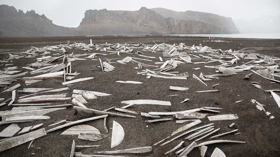 Antarctica’s land of fire and ice - BBC Travel