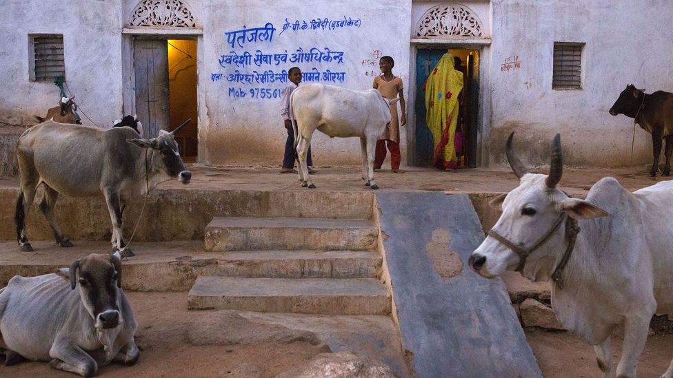Orchha, a living medieval town - BBC Travel