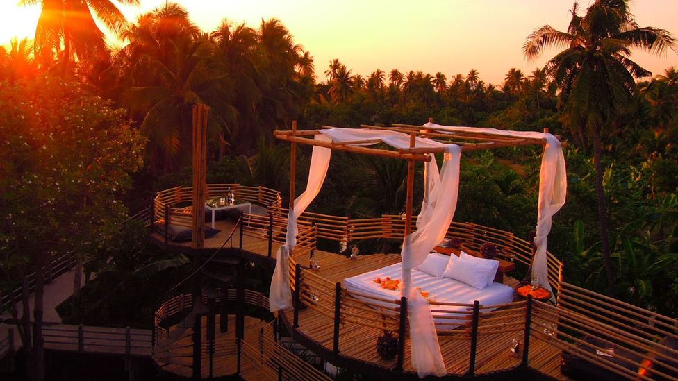 Five over-the-top treehouse hotels - BBC Travel